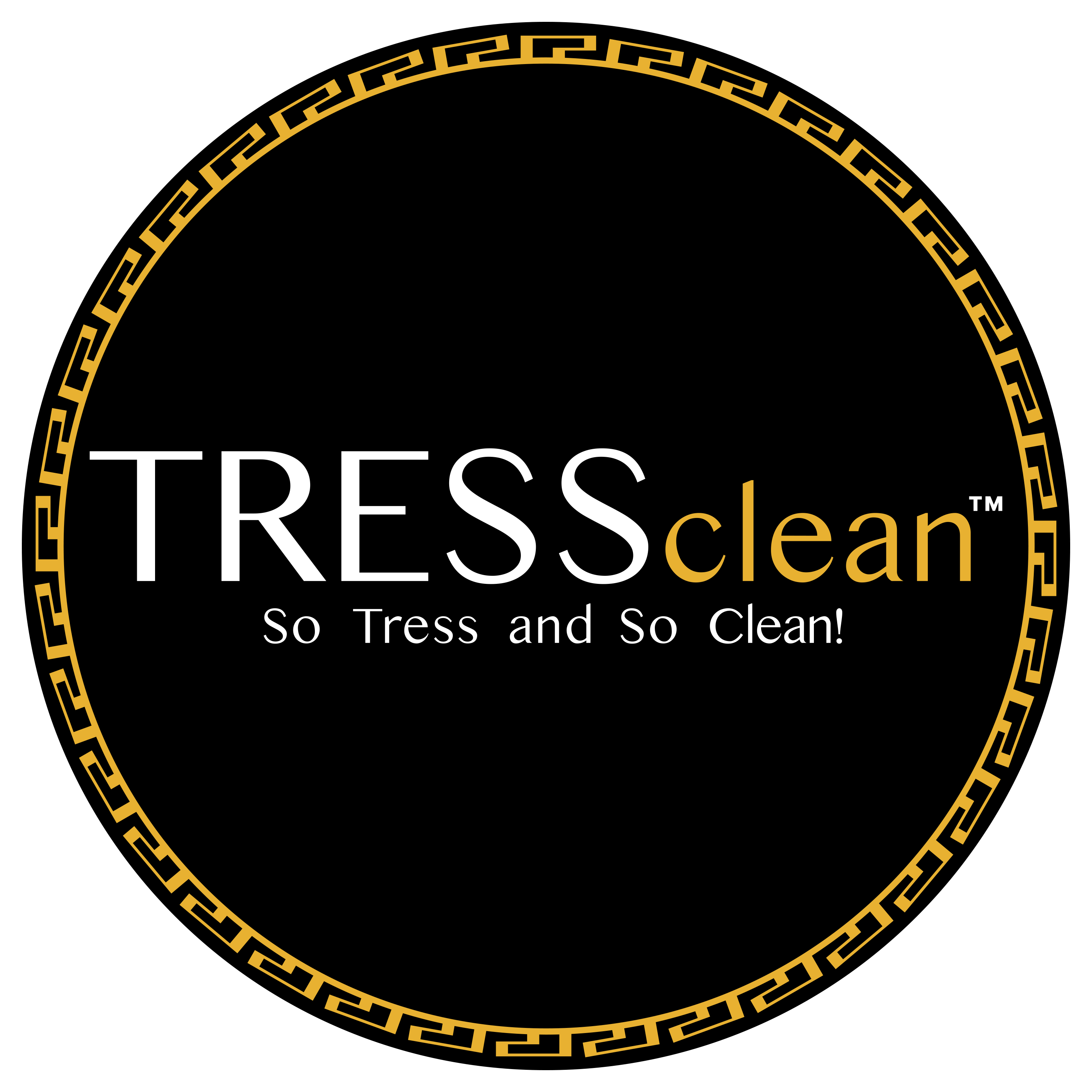 The Truth about Braids & Locs – Tressclean.com